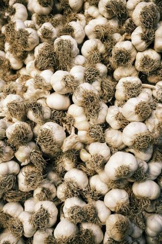 Japanese scientists discover garlic may help slow aging | Health ...