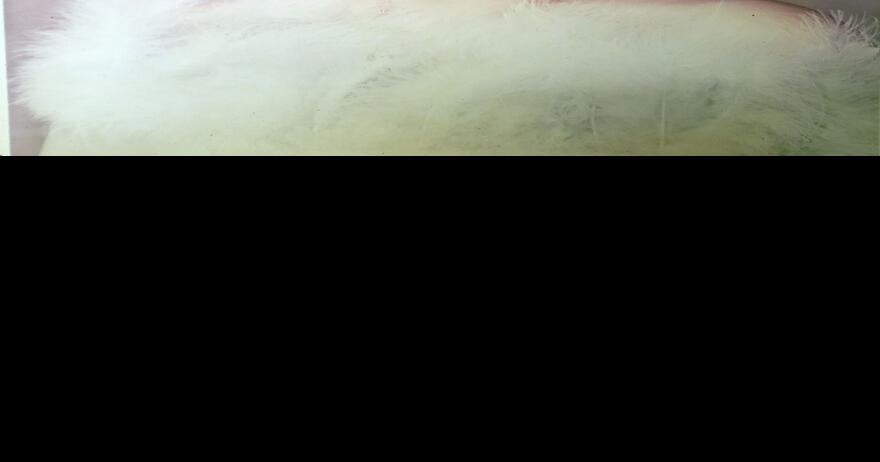 MERCEDES G. TARANGO | Obituaries | moorenews.com