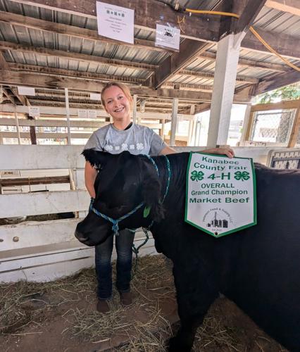 Fair happenings | News | moraminn.com