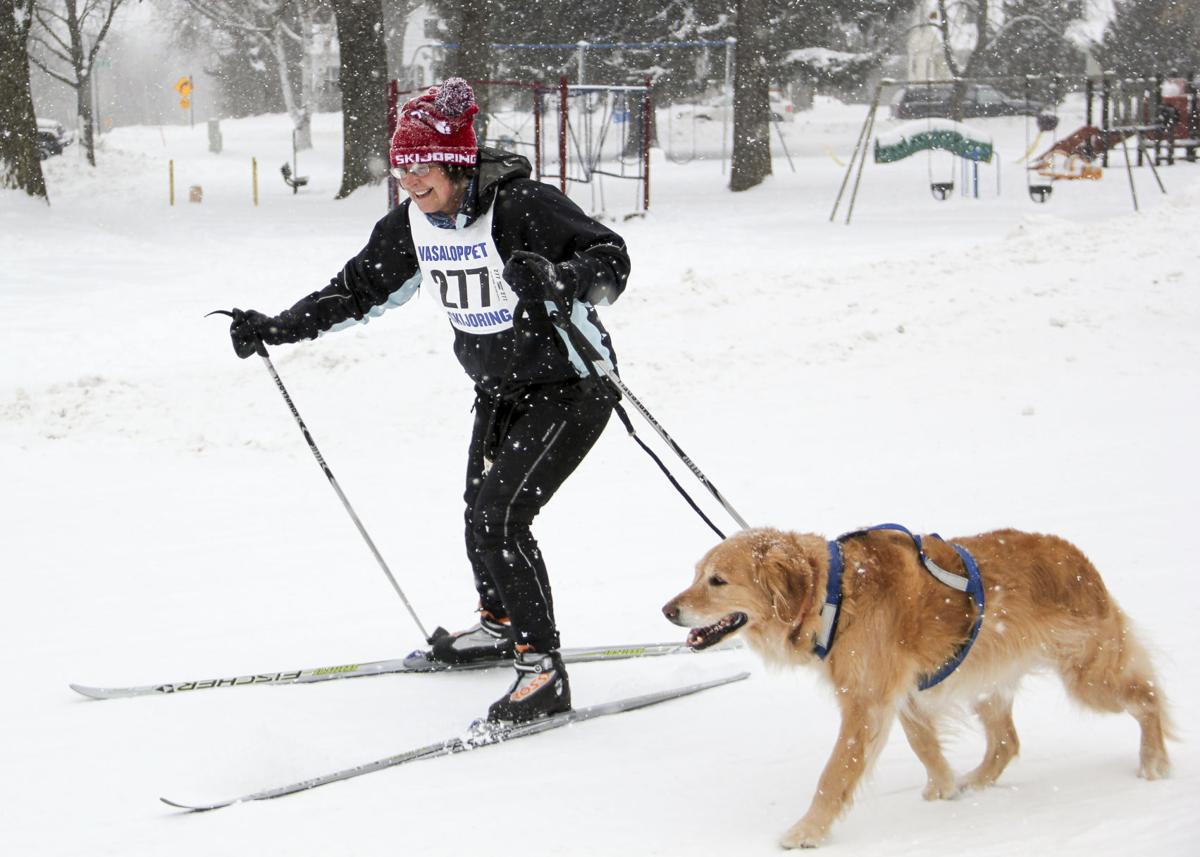 Skijor (10K and 4K) Sunday, Feb. 10, 2019 | Multimedia | moraminn.com