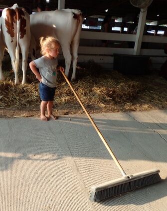 Fair happenings | News | moraminn.com