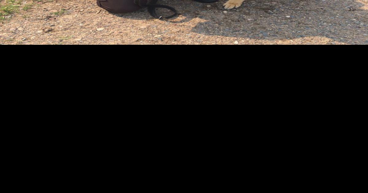 Deputy saves life of Mora accident victim | News | moraminn.com