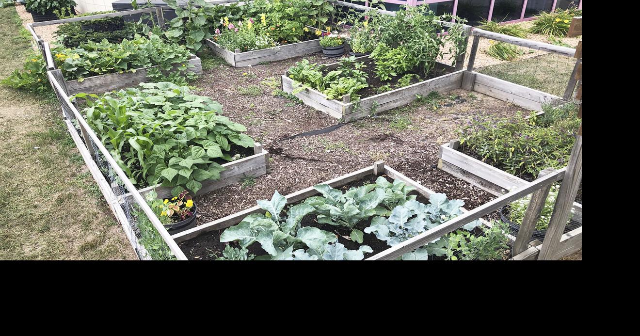 Mora fifth-graders help to make their garden grow | News | moraminn.com