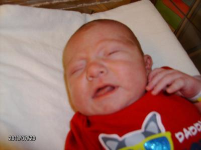 Connor D. Drost | | moraminn.com