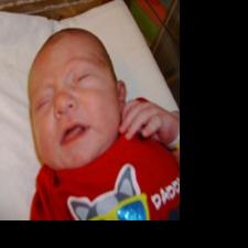 Connor D. Drost | | moraminn.com