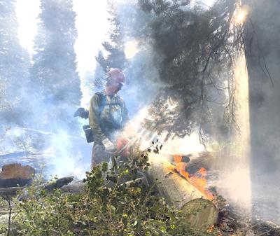 College students spend summer fighting wildfires | News | moraminn.com
