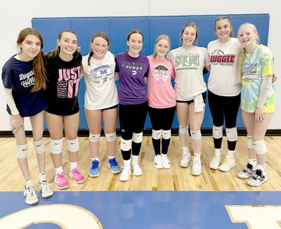 Mustang volleyball team looks for scrappy, energetic play | Sports ...