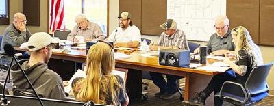 Royalton Township cannabis zoning to fall under Pine County’s ordinance ...