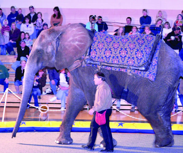 Circus comes to town | | moraminn.com