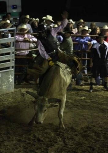 Riders, fans all rodeo winners | | moraminn.com