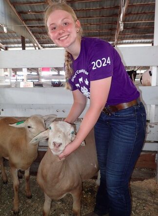 Fair happenings | News | moraminn.com