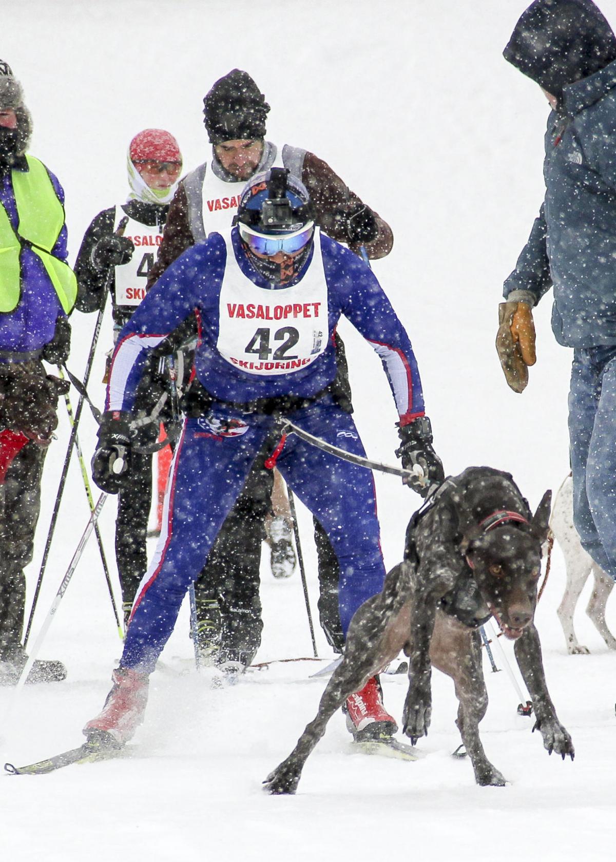 Skijor (10K and 4K) Sunday, Feb. 10, 2019 | Multimedia | moraminn.com