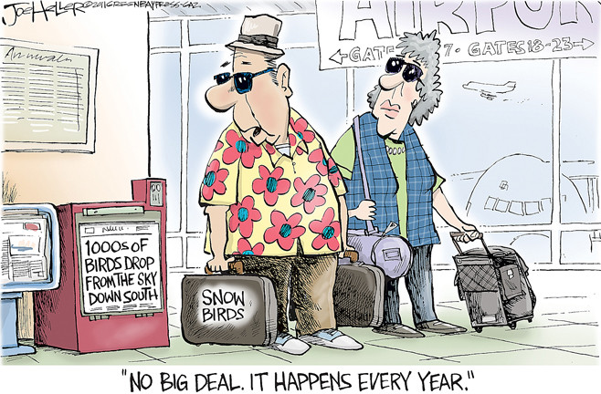 Joe Heller cartoons: Jan. 12 edition | | moraminn.com