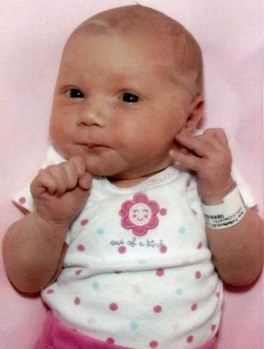 Tollefson | | moraminn.com