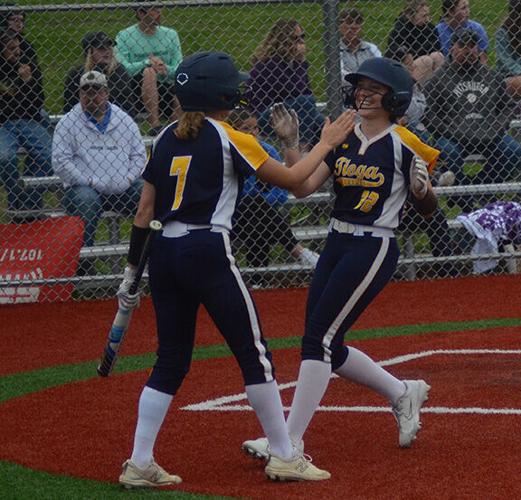Softball: Williams' walk-off double gives Tioga Central IAC Small ...