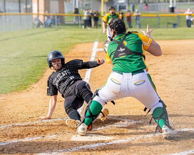 Area athletes named to NTL baseball, softball all-star teams | Sports ...