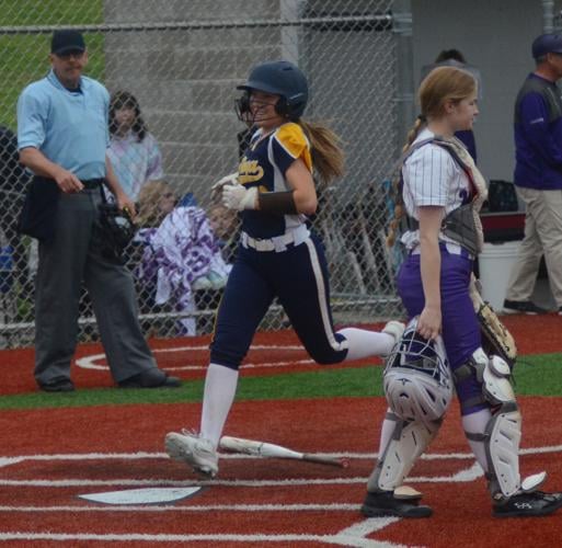 Softball: Williams' walk-off double gives Tioga Central IAC Small ...