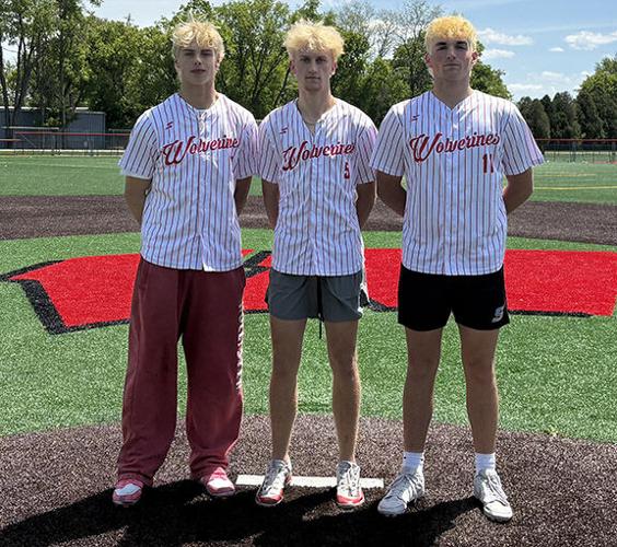 The Three Aces of Waverly: Stellar starting pitching guides Wolverines ...