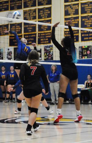 Roundup: Waverly, Tioga Central Volleyball set for playoffs | Sports ...