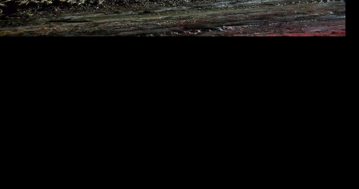 Valentine’s Day fire guts River Road home in Nichols | News | morning ...