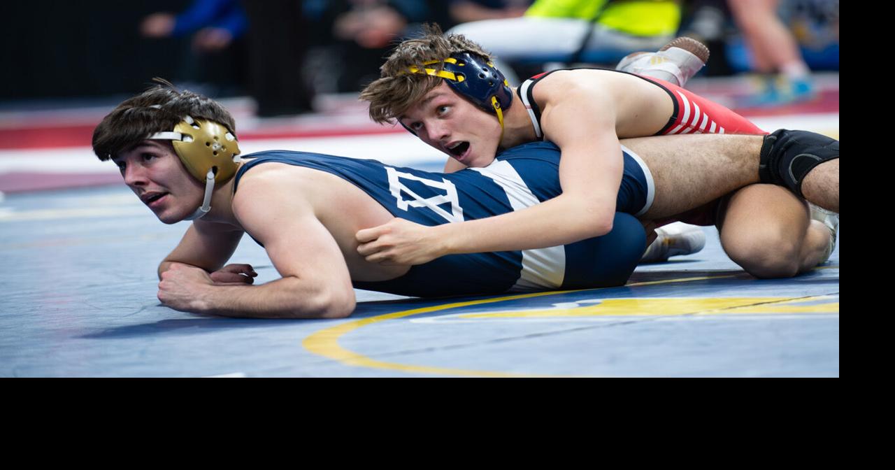 State Championship Wrestling: Eight Tigers, one Wolverine advance to ...