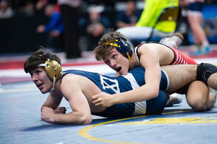 State Championship Wrestling: Eight Tigers, one Wolverine advance to ...