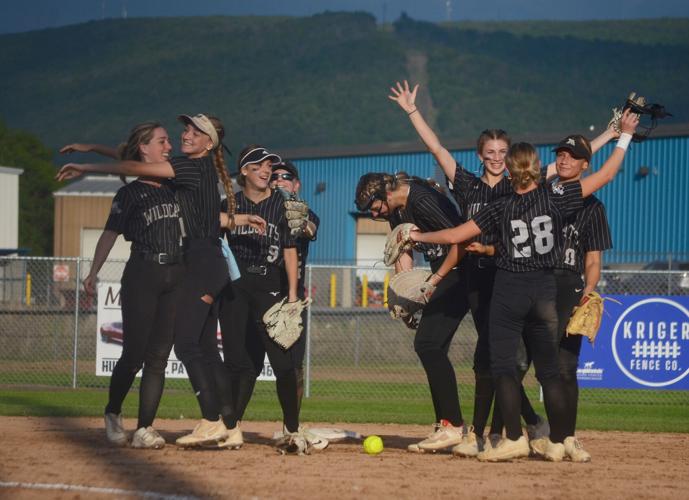 Softball: Athens grinds out 4-1 win over Central Columbia for first ...