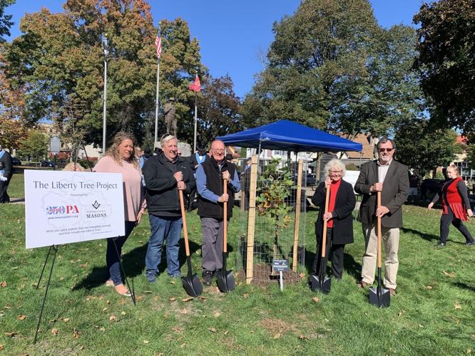 Sayre receives Liberty Tree at Howard Elmer Park | News | morning-times.com