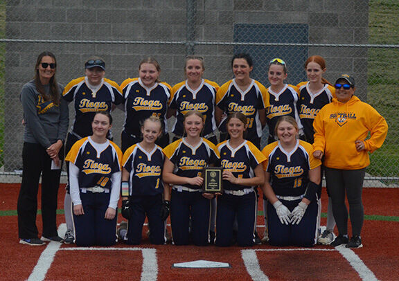 Softball: Williams' walk-off double gives Tioga Central IAC Small ...