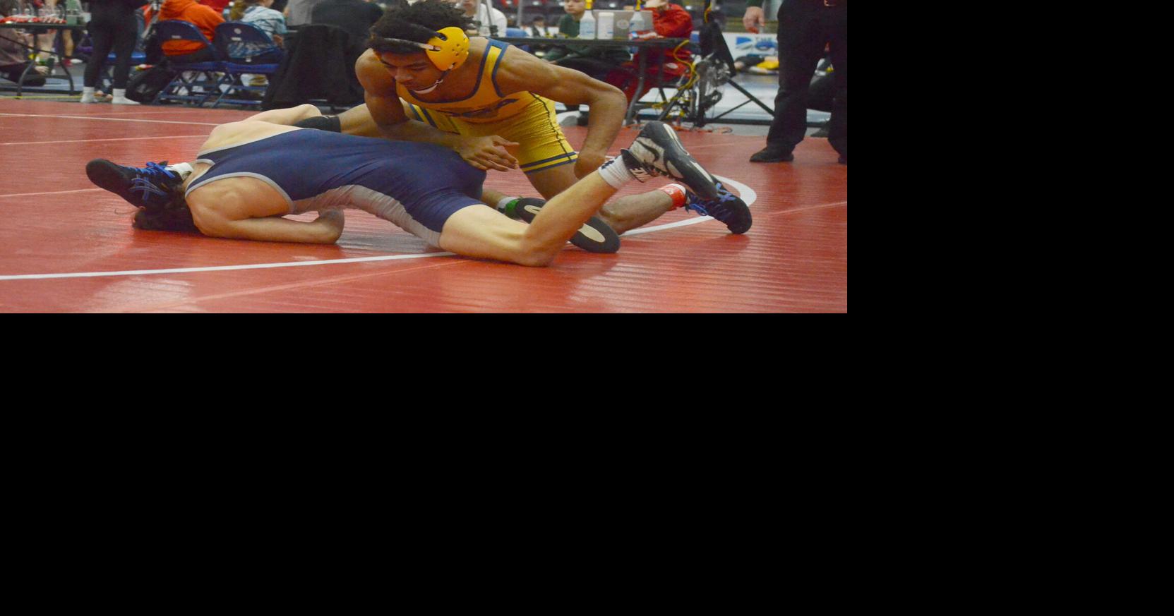 Weekend Roundup: Tioga, Waverly wrestling crown league champs; Waverly ...