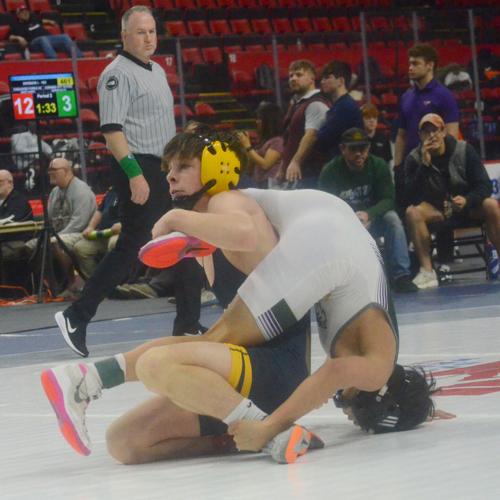 Section IV Wrestling: Tioga Central wins team title, two individual ...