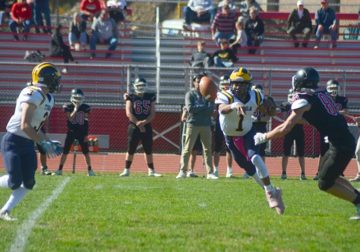 Playoff Preview: Waverly, Tioga Central begin title defenses | Sports ...