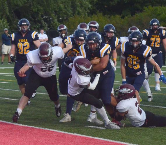 Waverly, Tioga Central football receive multiple all-state nods ...