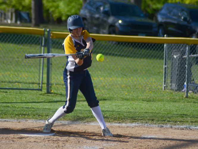 Waverly, Tioga baseball and softball teams get playoff seeding | Sports ...