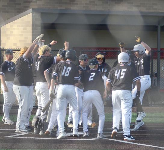 Baseball: Wildcats fall 11-1 to Montoursville in district semifinal ...