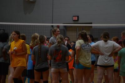 Athens, Waverly volleyball coaches to host youth skills camp | Sports ...