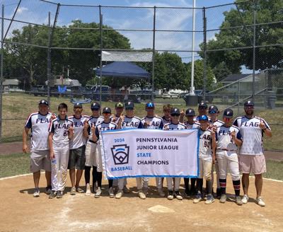 Little League: F.L.A.G. juniors win state tourney at Athens | Sports ...