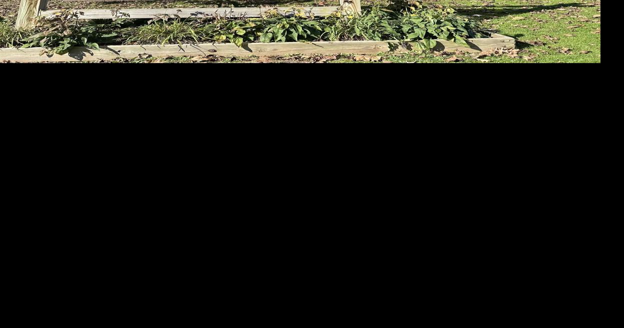 Closing arguments were heard in the Thomas Rath murder trial | News ...