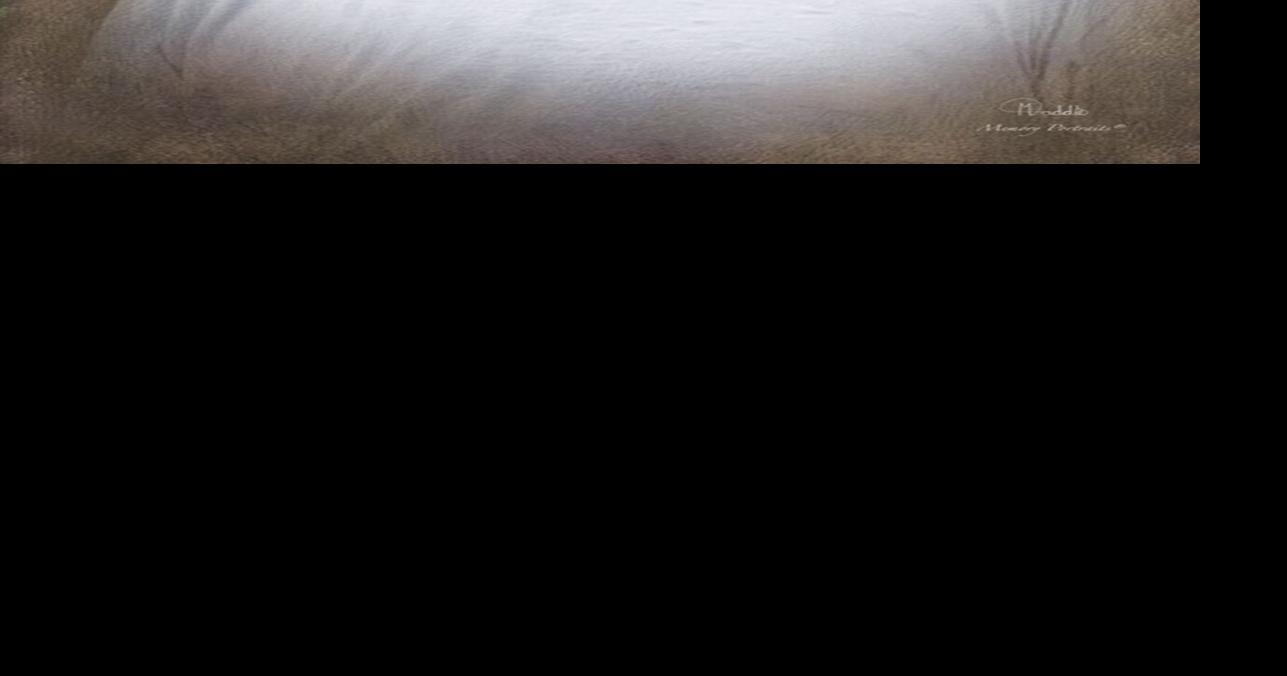 Robert M. Strait | Obituaries | morning-times.com