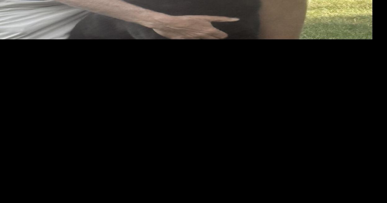 County’s insurance settles with Cal Harris; civil case to be heard at ...