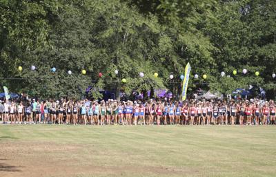 small groups of people running a country