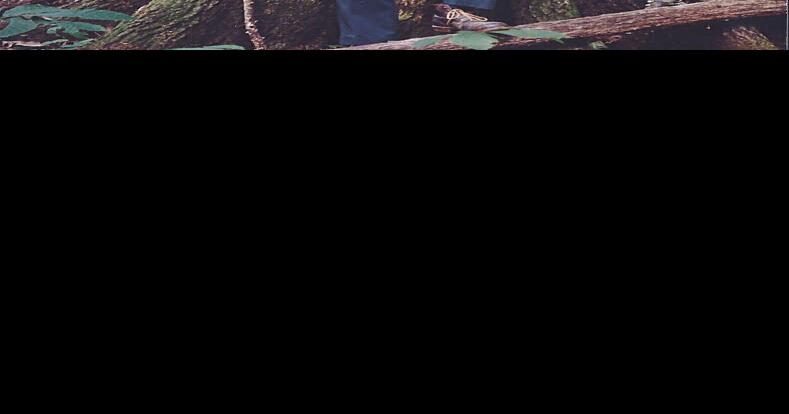 Oakville Indian Mounds mourns passing of local artist and navy veteran ...