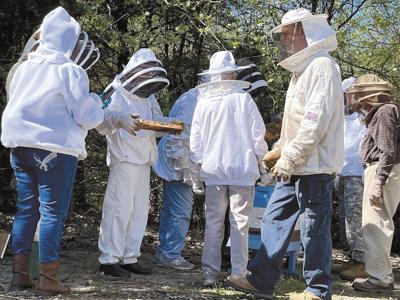 Alabama Beekeeping Association Fall Conference in September | News ...