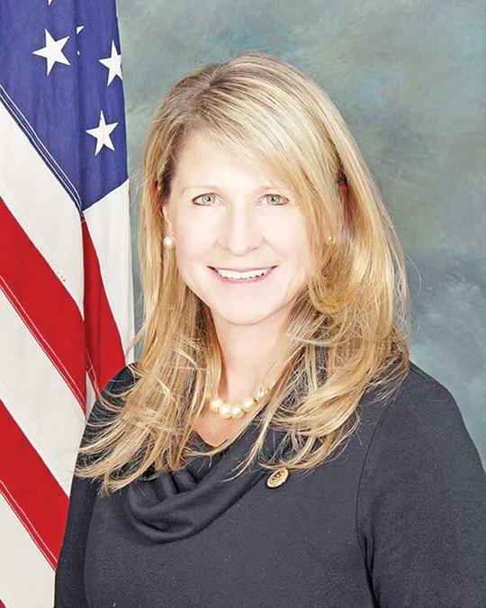 Supervisor Dawn Rowe speaks at Government Affairs Meeting | News ...