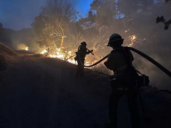 Running Springs Is Getting Firewise | News | mountain-news.com