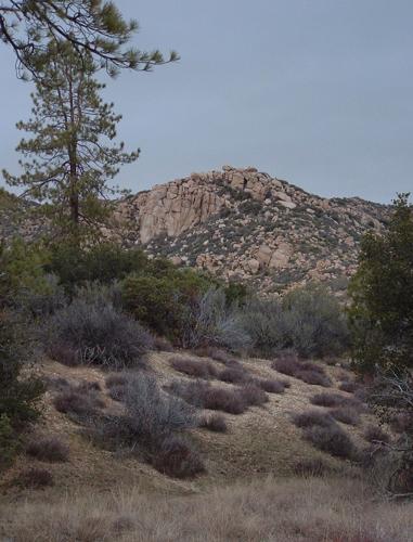 Hike of the Week: Remote Hwy. 173 | News | mountain-news.com