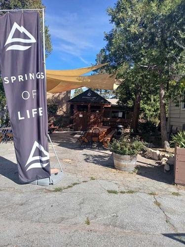 The Springs Of Life: Hope, Heal, Connect | News | mountain-news.com