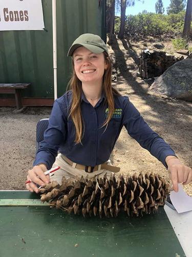 Pinecone Festival Carried on a Fun Local Tradition | News | mountain ...
