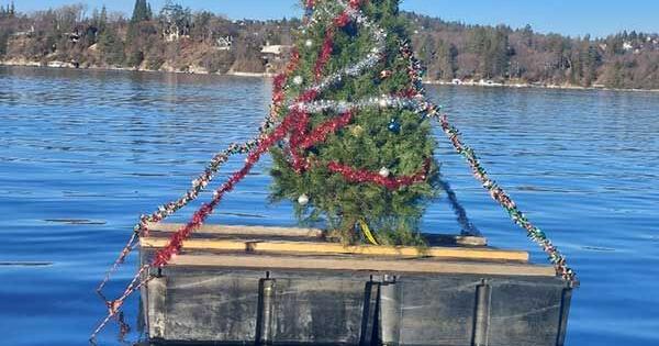 christmas tree arrowhead