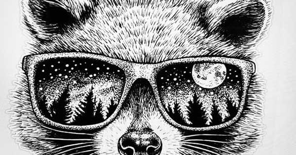 Stargazer’s Sky Report | News | mountain-news.com